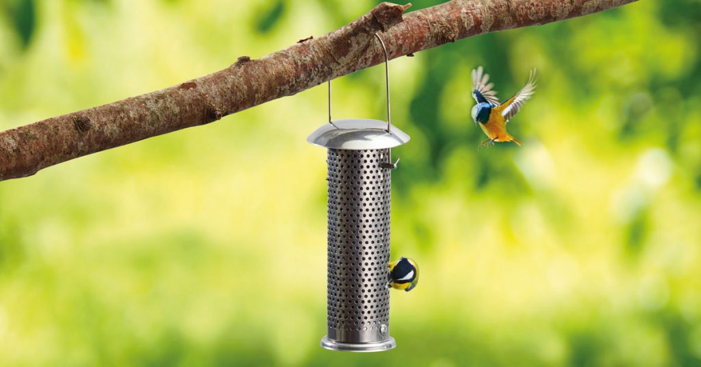 Nine things to know about niger seed - Happy Beaks Blog