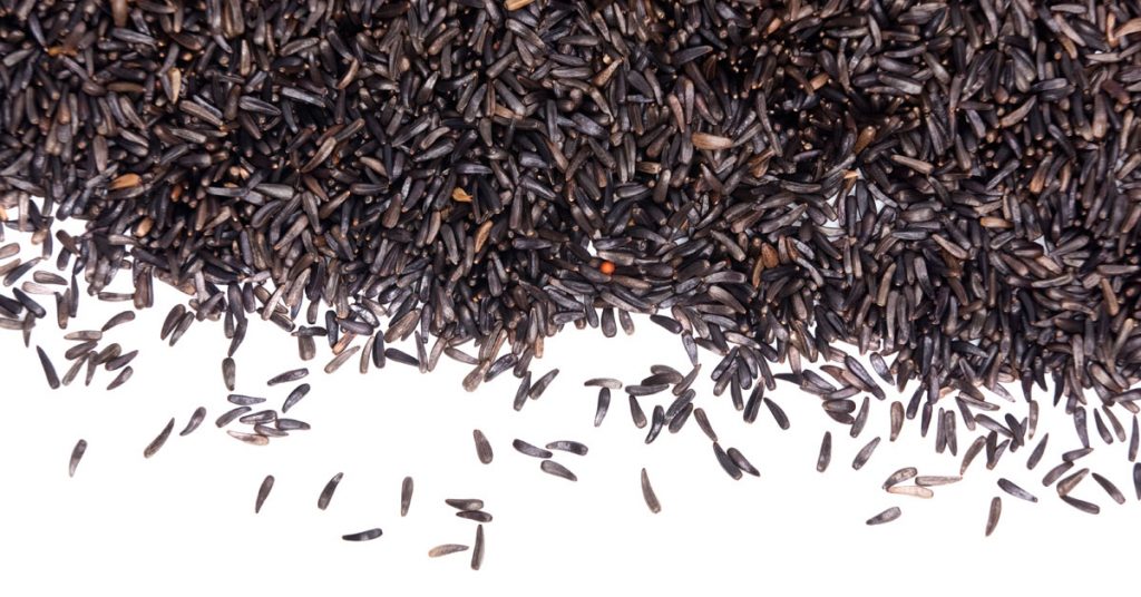 Nine things to know about niger seed - Happy Beaks Blog
