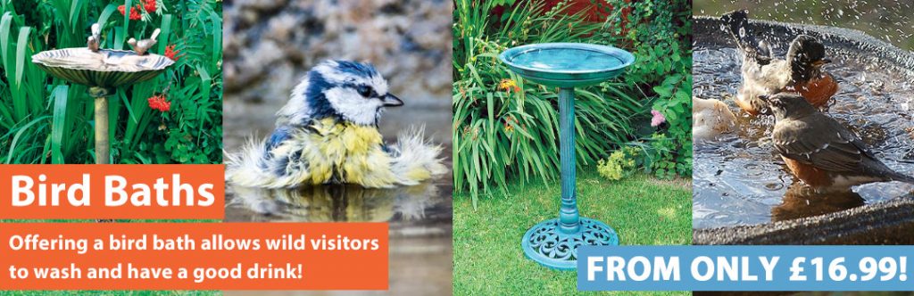 The Soothing Power of Birds - Q&A with Bird Therapy - Happy Beaks Blog