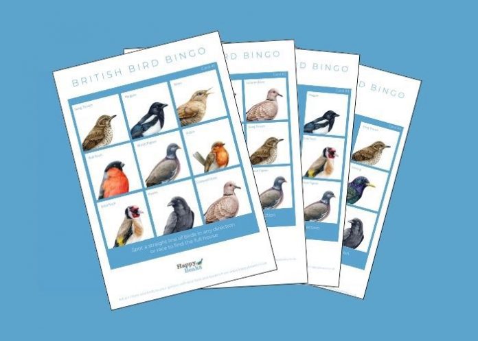 Play Bird Bingo for Free! - Happy Beaks Blog