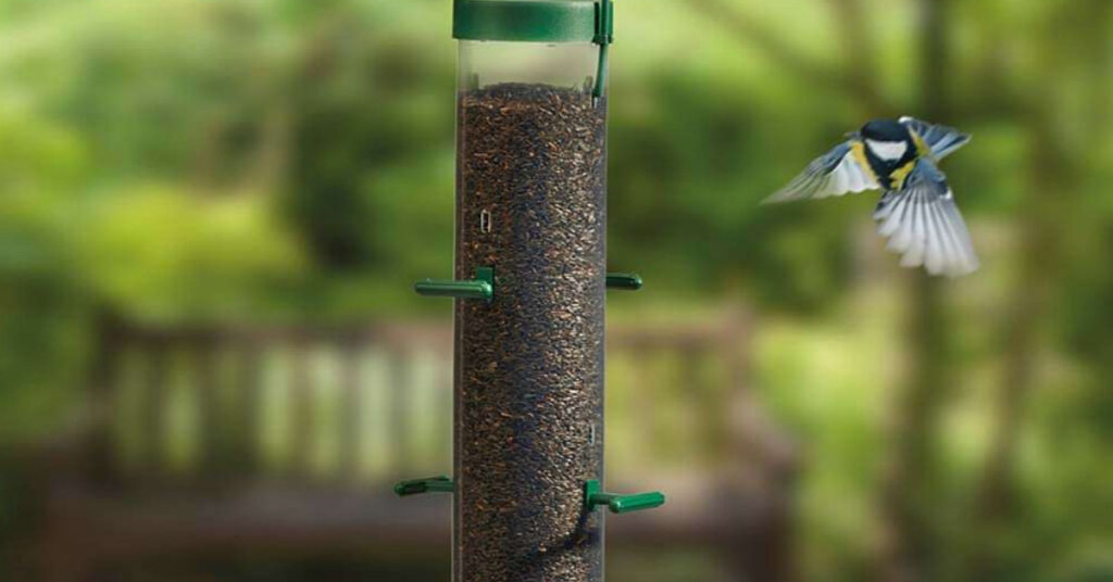 How to squirrel-proof your bird feeders - Happy Beaks Blog