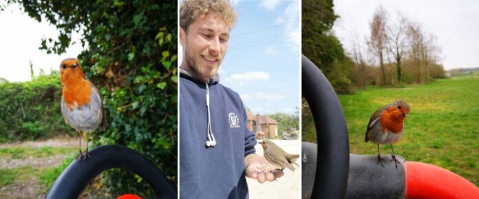 Featured Bird Watcher: Adam Olliver | Happy Beaks Blog